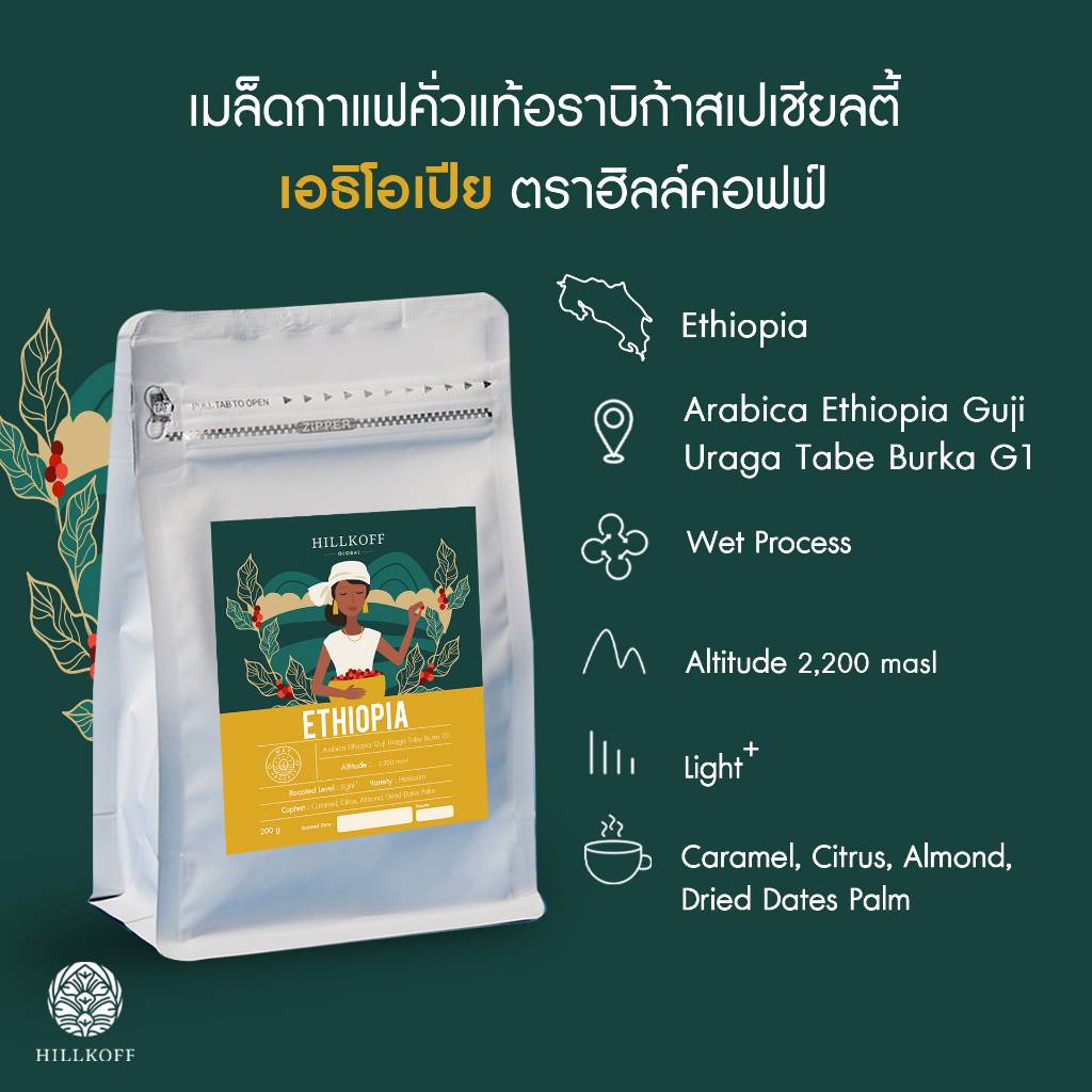 Specialty Coffee Beans - Ethiopia Guji Urage Tabe burka G1