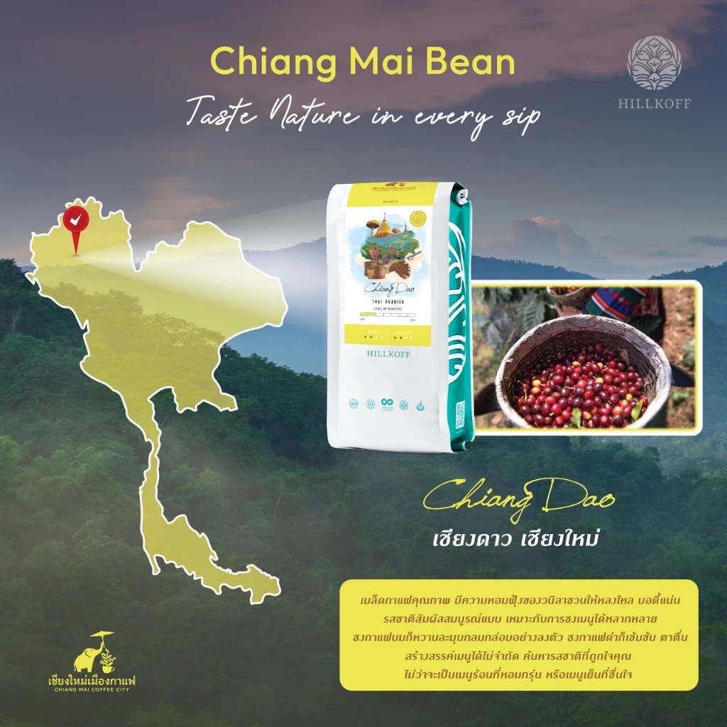 Arabica Coffee Beans - Chiang Dao 250g